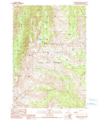 Hi-Res Interactive Map of Aneroid Mountain, Wallowa County, OR in 1990 | Pastmaps